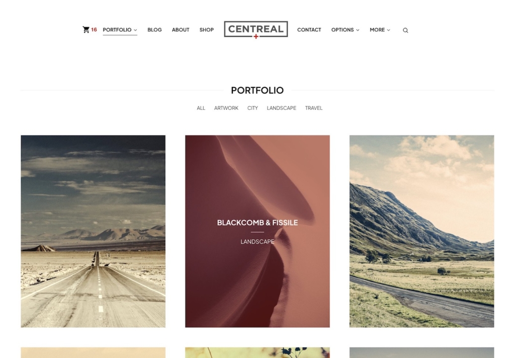 Free & Premium WordPress Themes